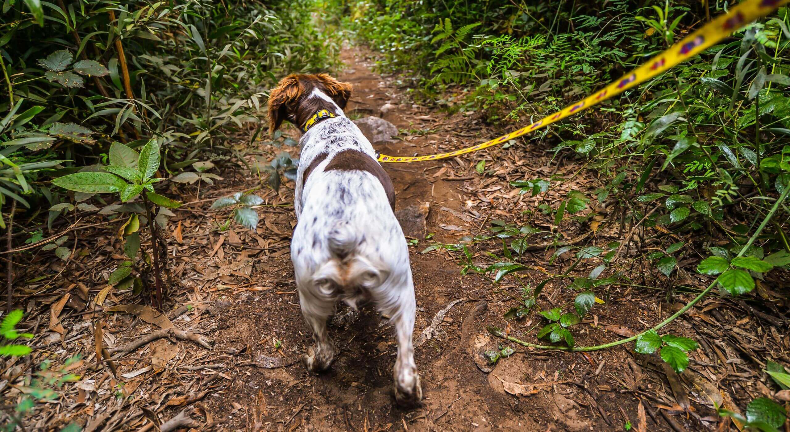 Croes Vaen | Rockfield Barns
